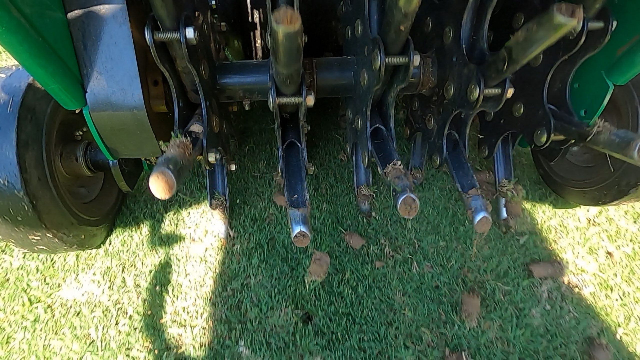Bermuda Grass Soil Improvement Series: 1 of 4 » Sunny Bermuda