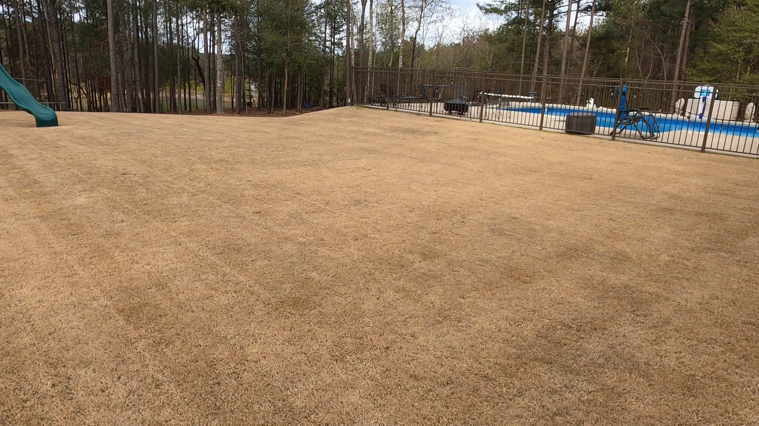 Spring PreEmergent & Winter Lawn Update (S2E1) » Sunny Bermuda