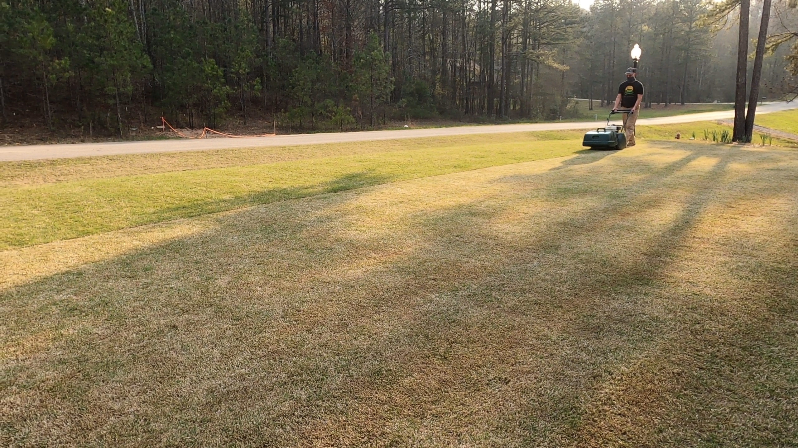Bermuda Grass Spring Wakeup Part 2: Scalp (S2E4) » Sunny Bermuda